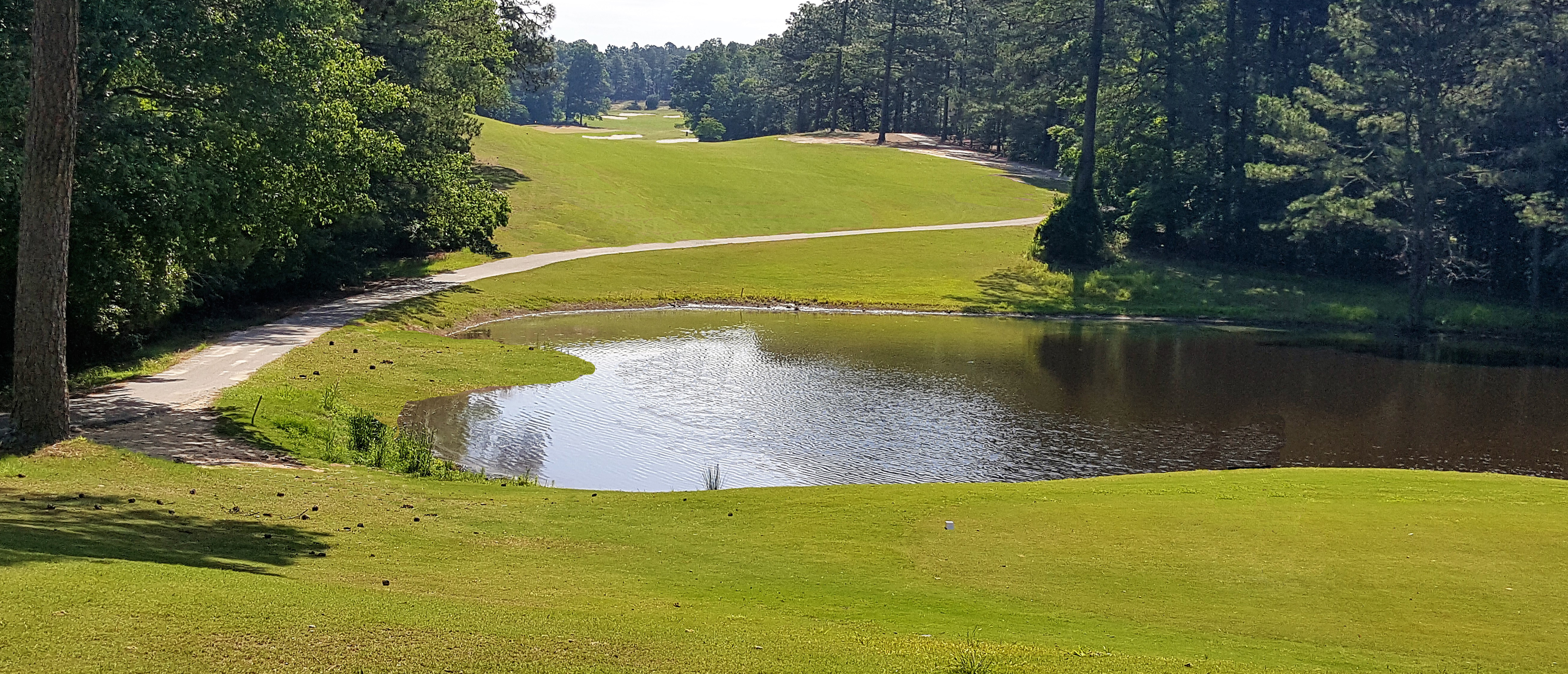 Foxfire Golf & Resort Red Fox Review By David Theoret